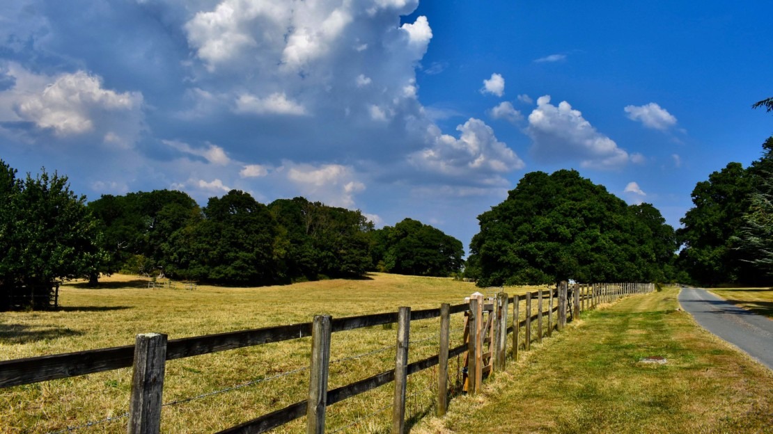 The history of Bignor Park